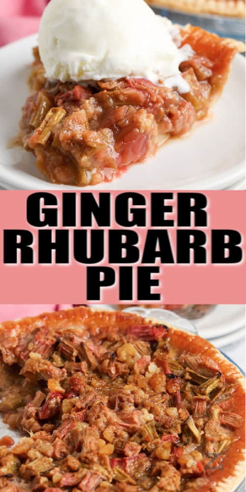 Ginger Rhubarb Pie {Made From Scratch!} - Our Zesty Life