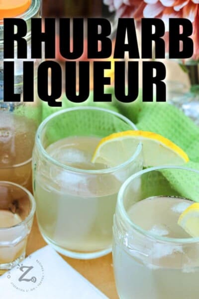 Rhubarb Liqueur [Only 4 Ingredients!] - Our Zesty Life