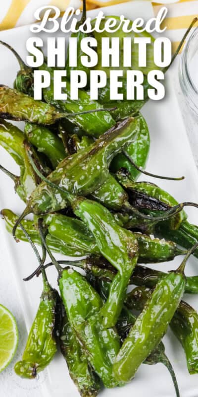 Blistered Shishito Peppers (3 Ingredient Recipe!) - Our Zesty Life