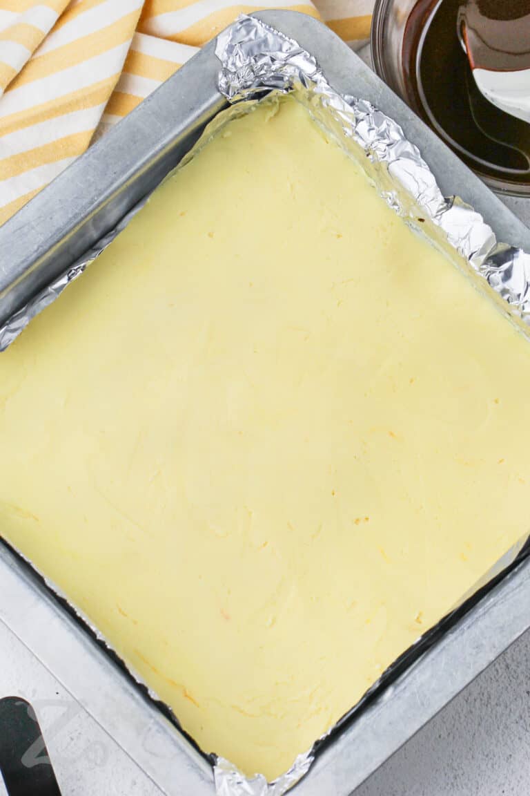 Nanaimo Bars (Decadent 3 Layer Dessert!) - Our Zesty Life