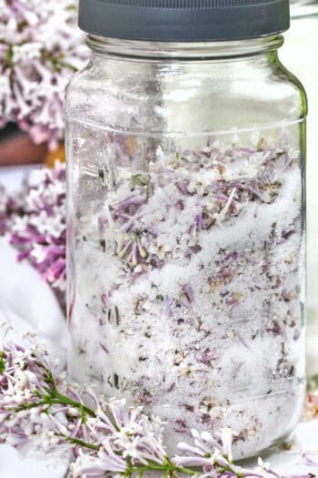 Lilac Sugar (2 Ingredient Recipe!) - Our Zesty Life