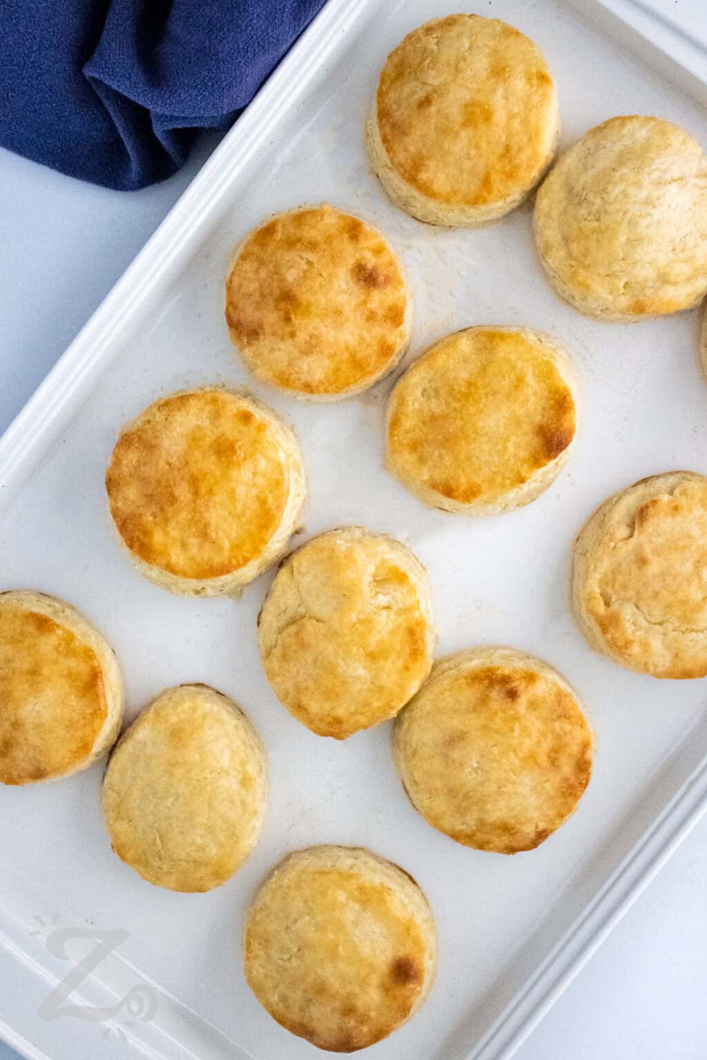 Buttermilk Biscuits (Fluffy & Flaky) - Our Zesty Life