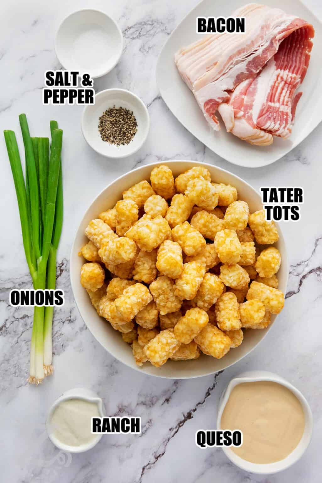 Loaded Tater Tots (Crispy & Cheesy) - Our Zesty Life