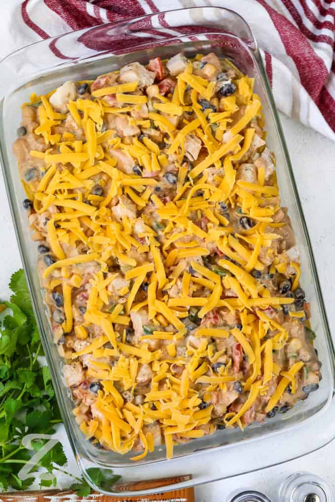 Fiesta Chicken (Zesty and Creamy!) - Our Zesty Life