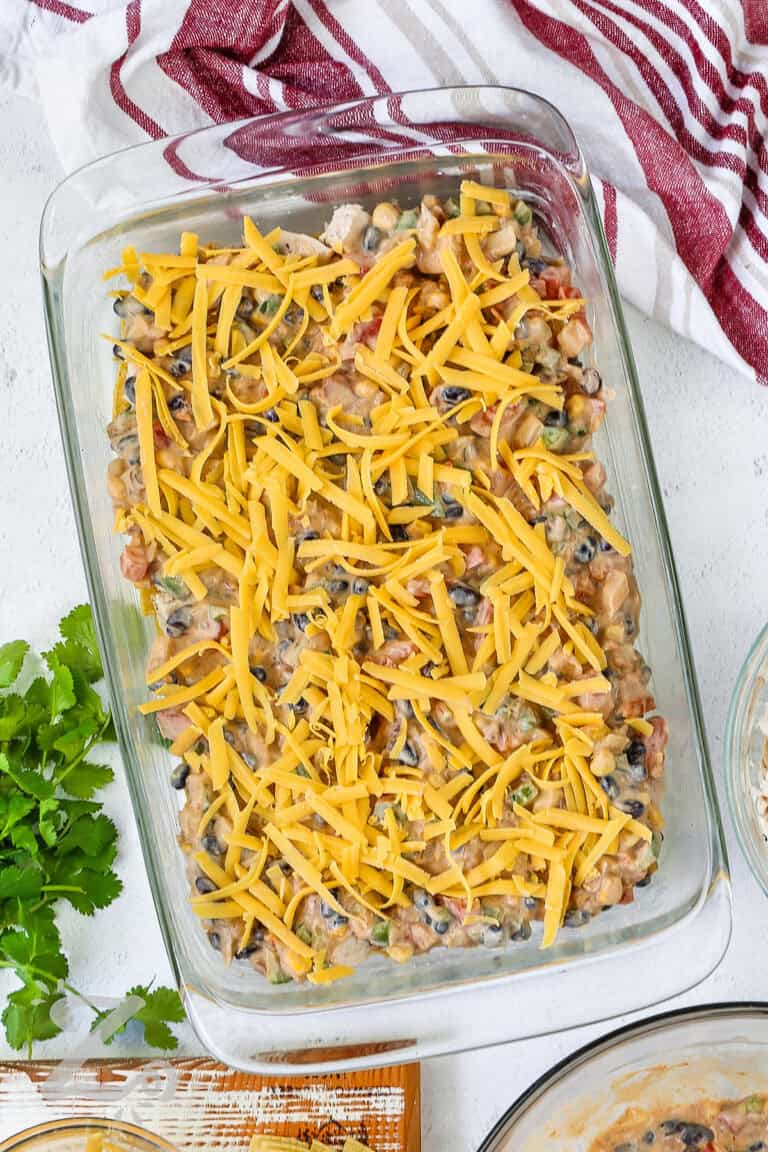 Fiesta Chicken (Zesty and Creamy!) - Our Zesty Life