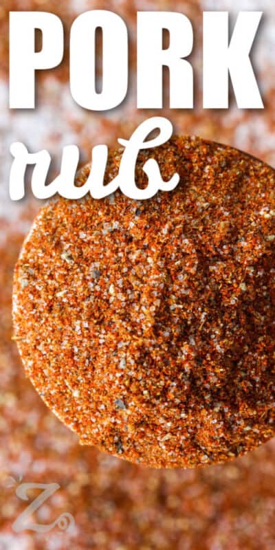 Pork Rub Recipe (Spicy and Savory!) - Our Zesty Life